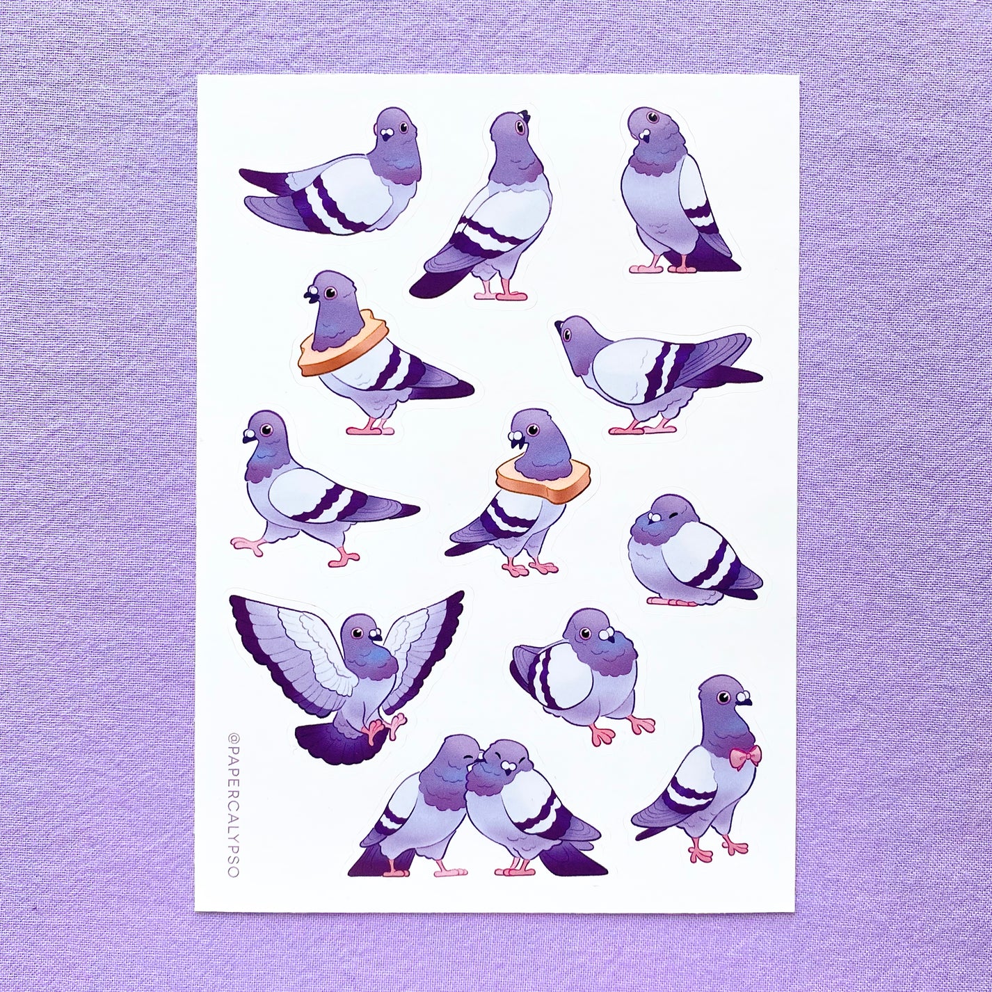 quirky pigeons sticker sheet – PaperCalypso
