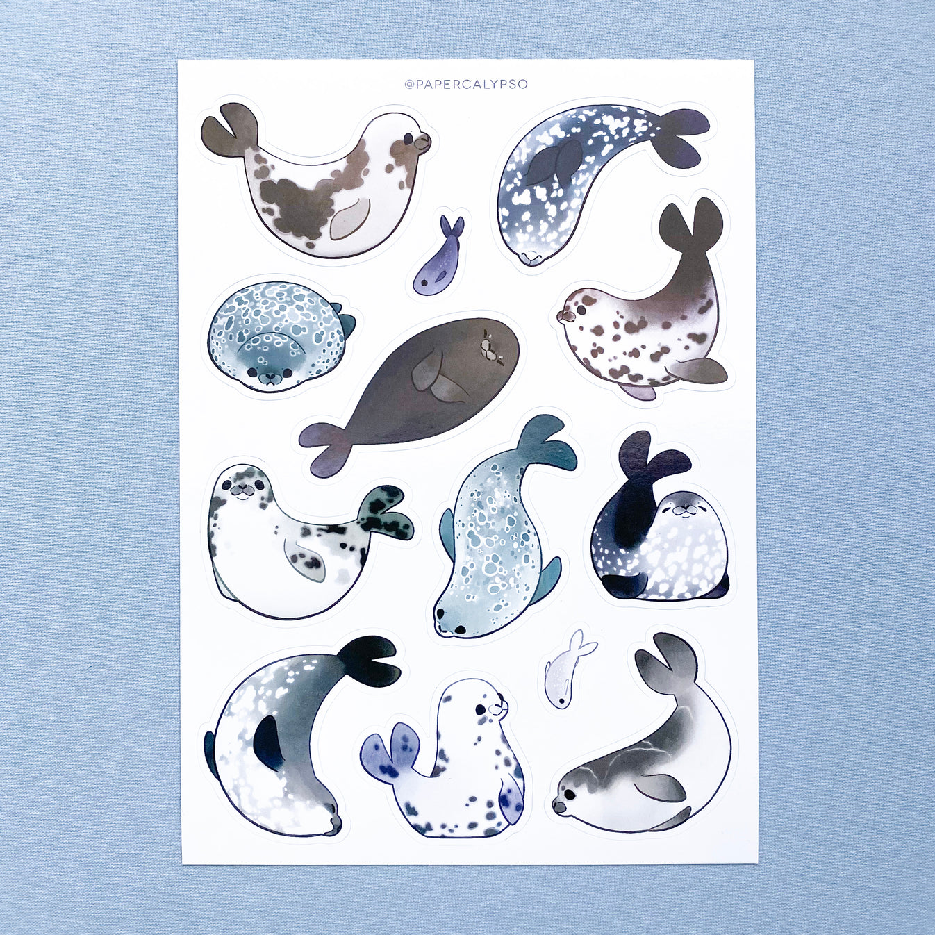 cute seals sticker sheet – PaperCalypso