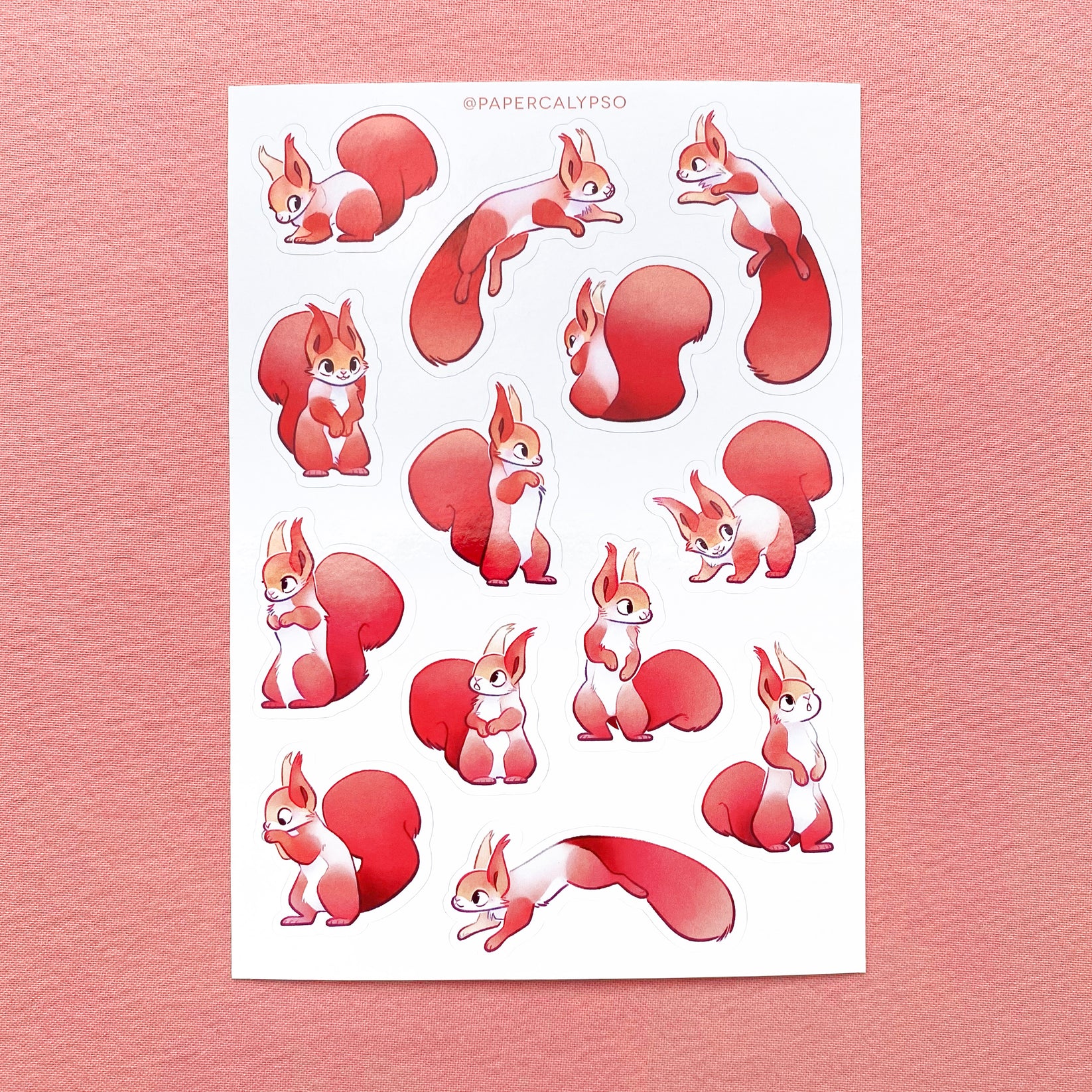 cute squirrel sticker sheet – PaperCalypso